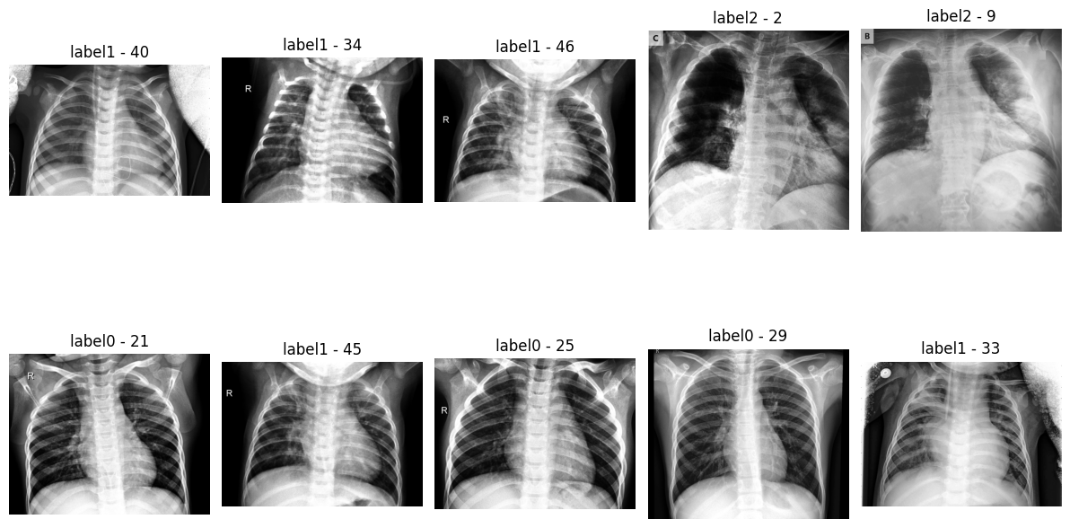 Pytorch Skeleton Code for Binary and Multi-class Classification - Punn's Deep Learning Blog